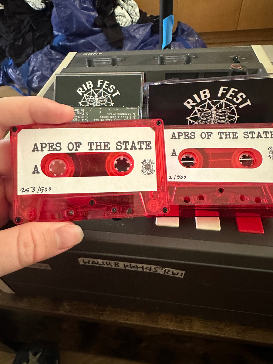 Apes Of The State And Sister Wife Sex Strike Split They Cant Kill Us Punk With A Camera