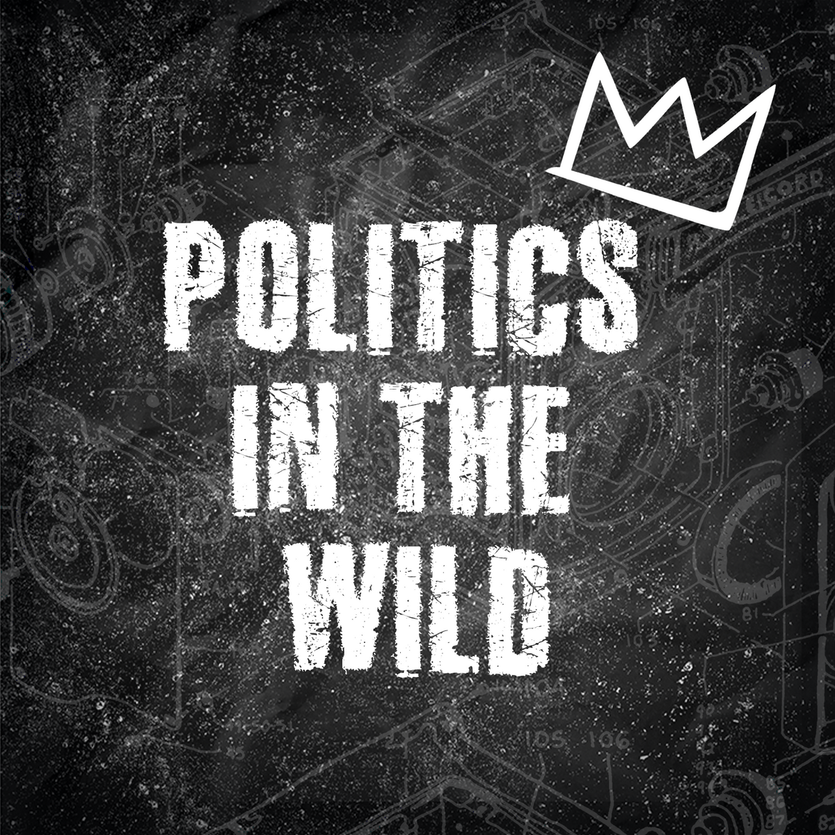 Politics In The Wild – Punk With A Camera