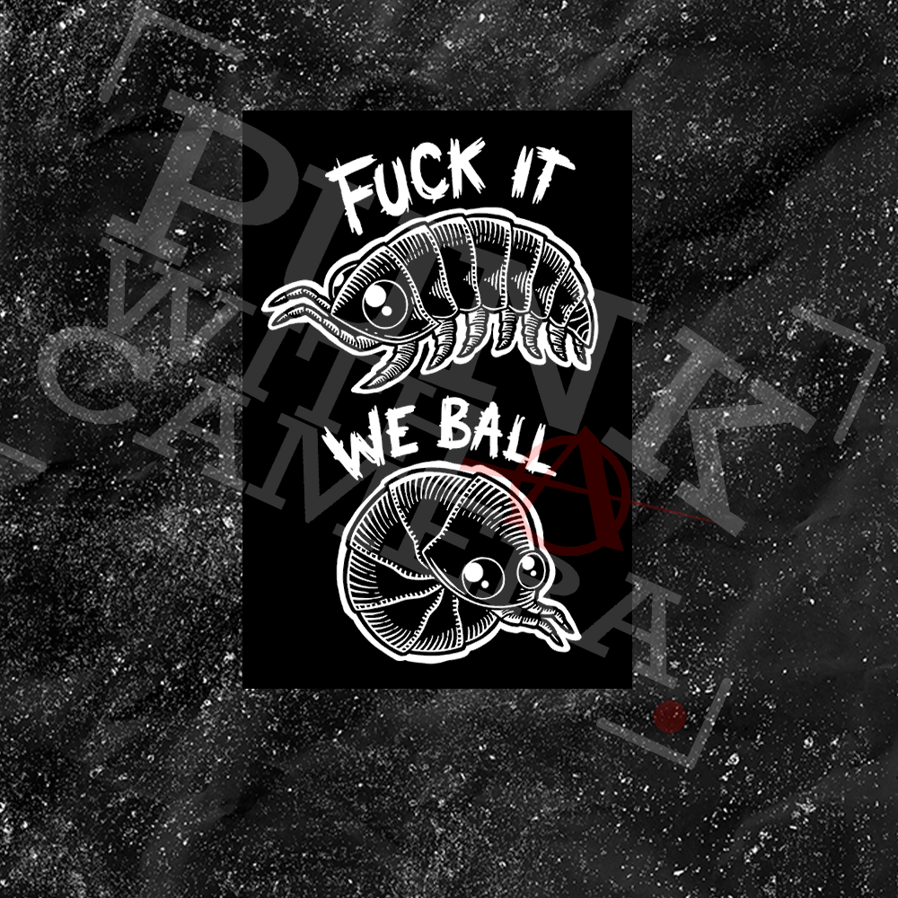 Fuck It We Ball - Sticker (3X3) – Punk With A Camera